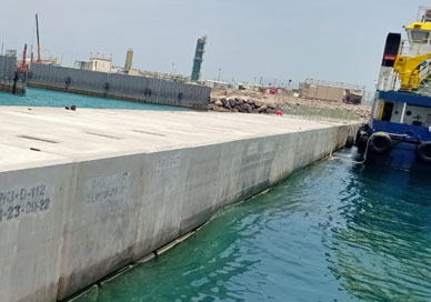 Dalma Gas Development Project - Crystal Projects